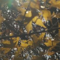 大模型训练-大规模数据集加载解决方案（load_from_disk） - 知乎