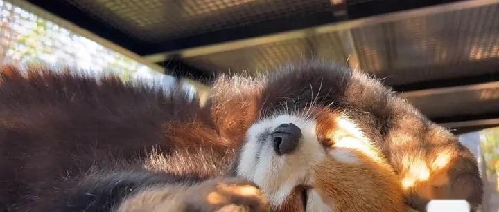 adb shell top - 知乎