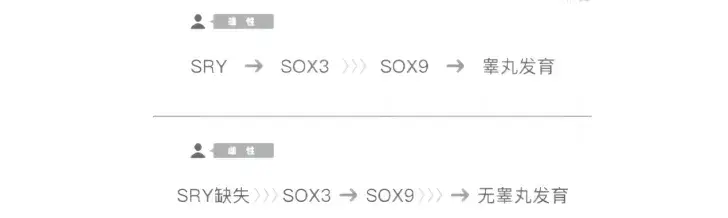 当PCR和NGS可以“性别鉴定”，潘多拉的魔盒也被打开了！ - 知乎