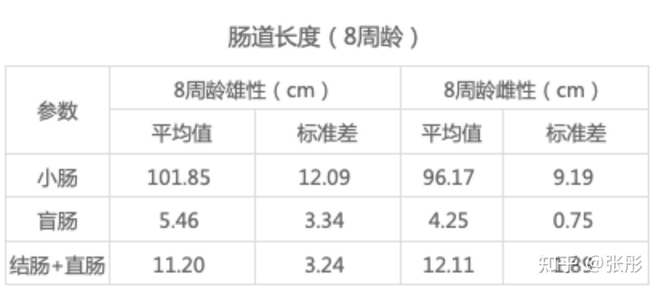 BN大鼠｜Brown Norway Rats百科资料 - 知乎
