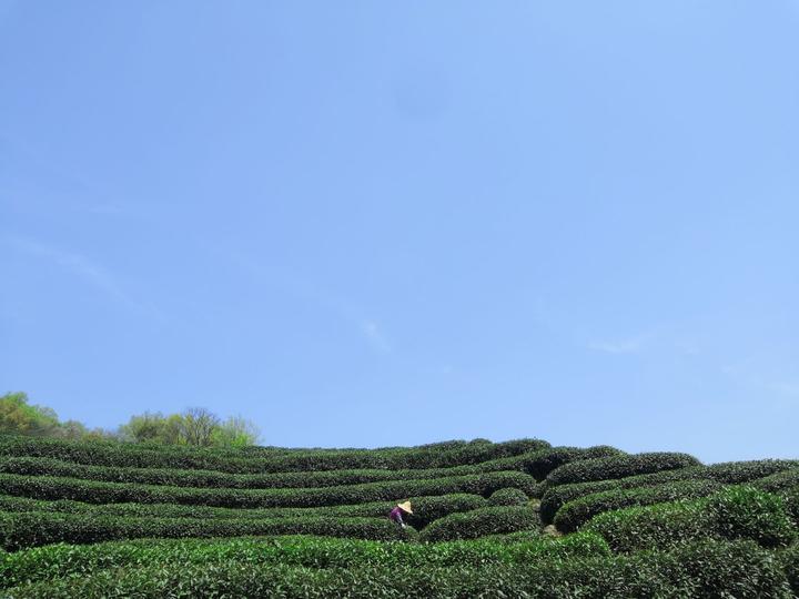 美国合同法中的Promise；Promisor；Promisee和Beneficiary - 知乎