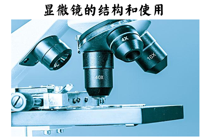 高中生物学必修一：显微镜的结构和使用 - 知乎