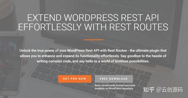 WP REST API高级自定义路由WordPress插件 - 知乎