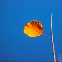 Winform配合WebView2集成TinyMCE并实现C#与JavaScript交互 - 知乎