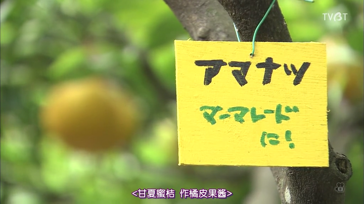 hive之UDF,UDAF,UDTF - 知乎