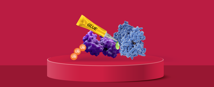 国内首款！格博生物CK1α分子胶降解剂GLB-001获批临床 - 知乎