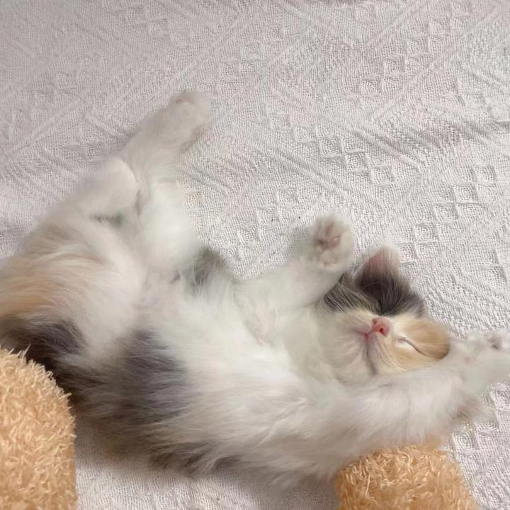 亿联检测帮您介绍印尼SDPPI认证 - 知乎