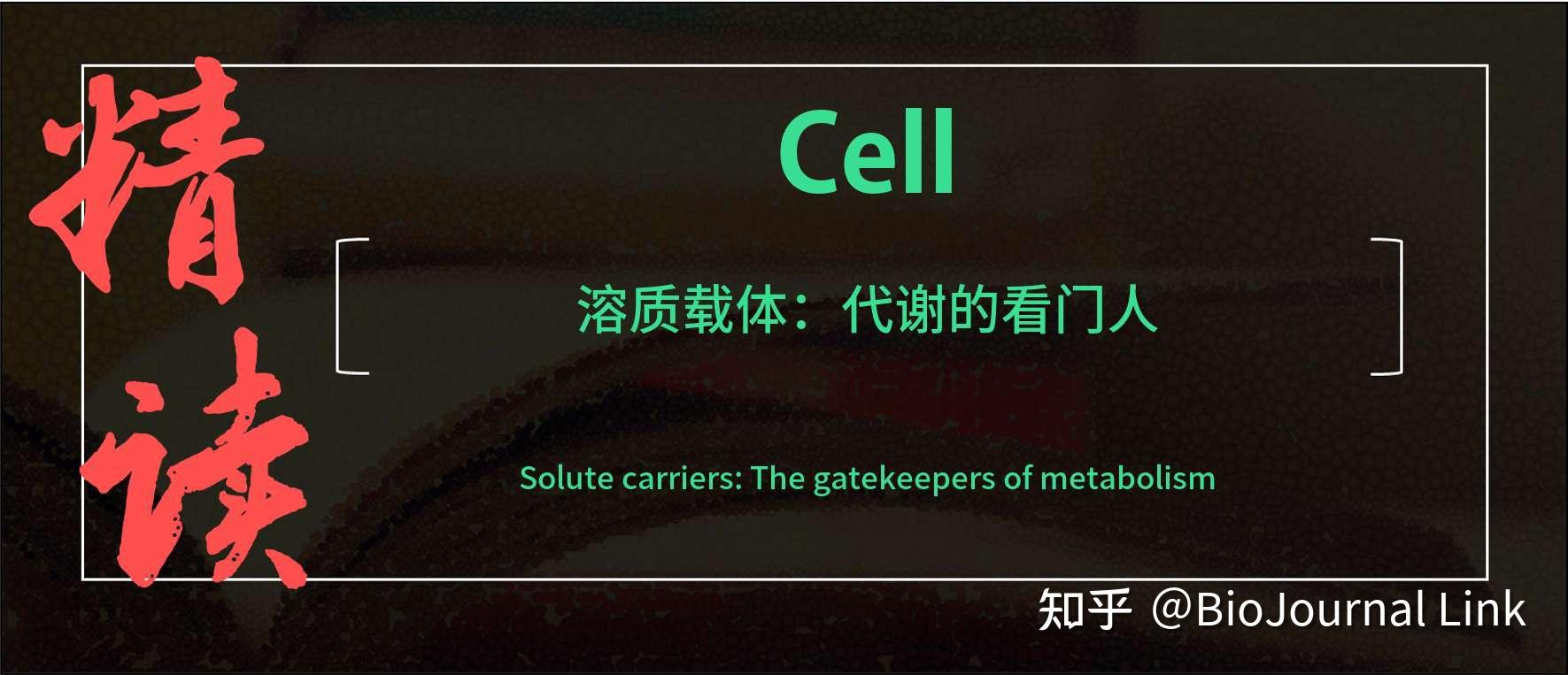 前瞻 | Cell | 溶质载体 (SLC)：代谢的看门人 - 知乎