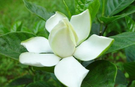 基于vue的jsdoc配置和使用说明 - 知乎