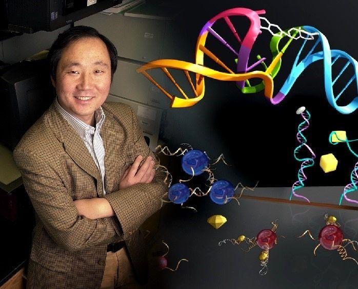 Nat Biotech｜突破：糖基化RNA成像首次揭示其空间分布及其在胞内迁移的过程 - 知乎