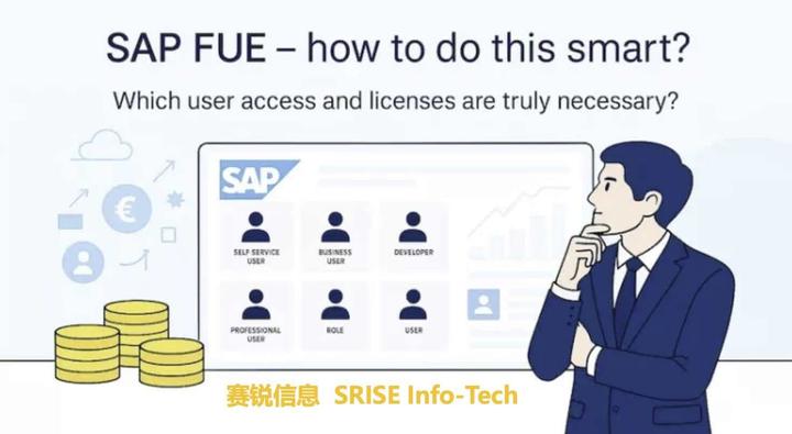 RISE WITH SAP S/4HANA CLOUD FUE 授权概念及优化方法 -赛锐信息 - 知乎