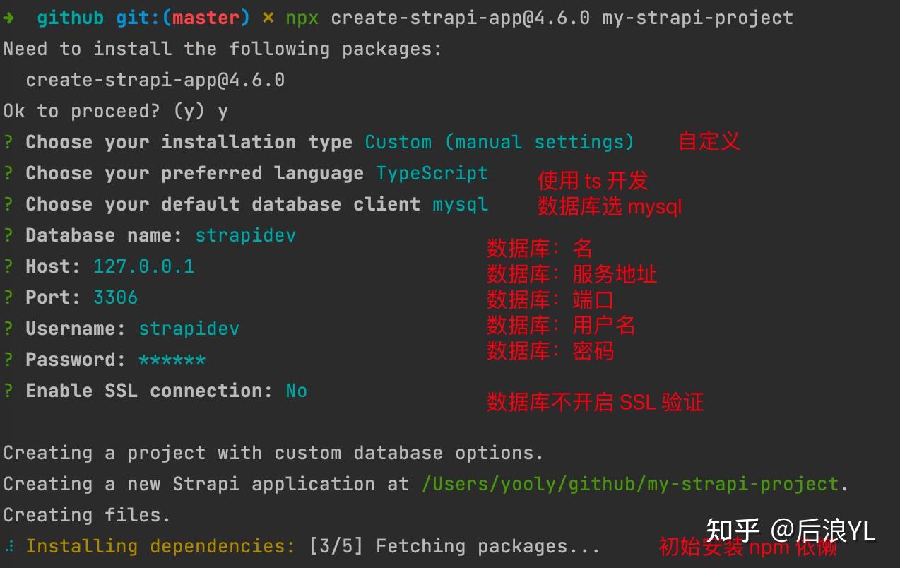 快速体验 Strapi CMS（基于 docker 部署） - 知乎
