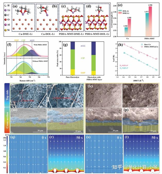 Adv. Funct. Mater：PDDA插层-蒙脱土杂化人工界面层锂金属电池的Li+快速去溶剂动力学 - 知乎