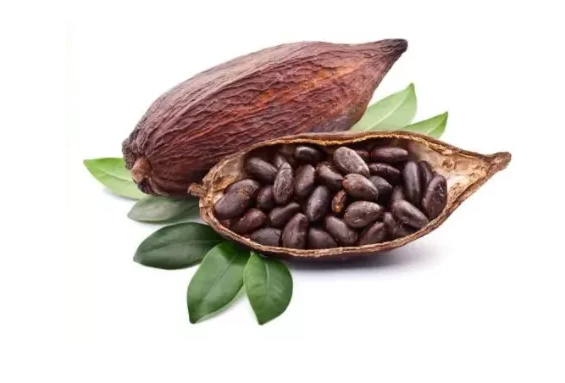 关于巧克力胺 (Chocamine ®) 在运动补剂中的作用与效果 - 知乎