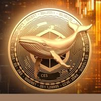 Meta WhaleT&S生态工作原理 - 知乎