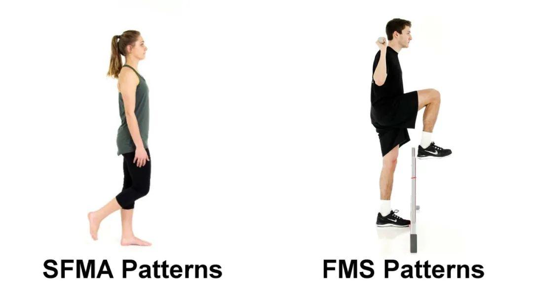 FMS 和 SFMA：我何时应该使用哪一个？ - 知乎