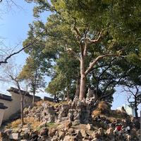 告别重复造轮子！用Cursor + Java，开发效率飙升200% - 知乎