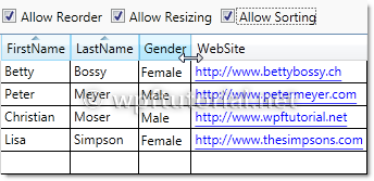 WPF 入门教程 DataGrid数据绑定 - 知乎