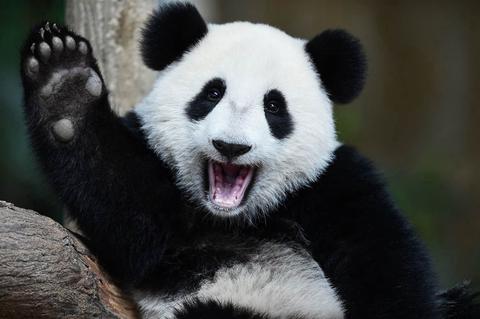 Python pandas.DataFrame.ewm函数方法的使用 - 知乎