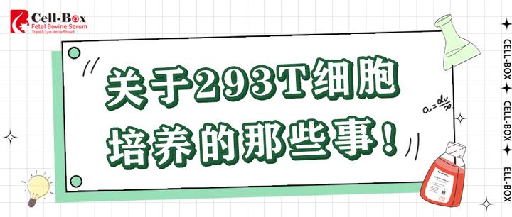 关于293T细胞培养的那些事 - 知乎
