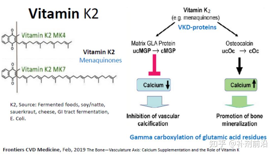 循证营养｜高剂量维生素 K2 可构建新骨骼 - 知乎