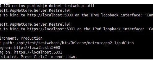 使用pm2守护你的.NET Core应用程序 - 知乎