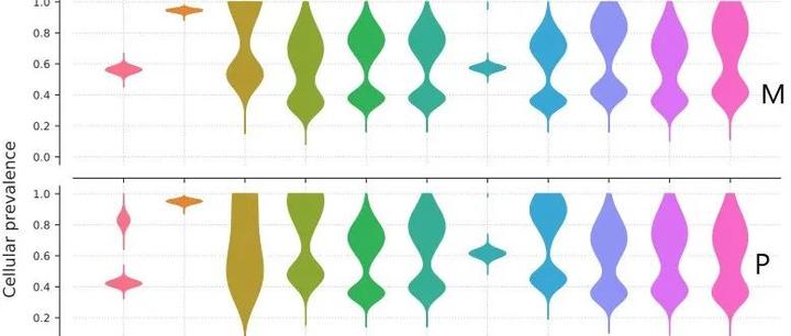 Topic 4. 克隆进化之 Pyclone - 知乎