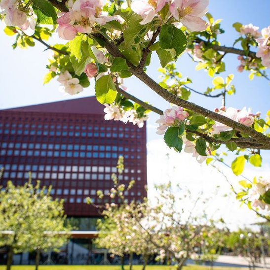 23Fall新生分享 ｜“LiU是所宝藏大学！” - 知乎