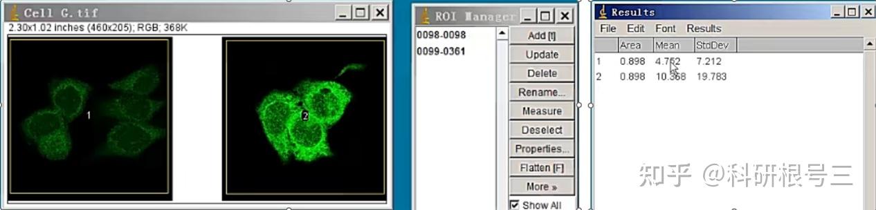 用 ImageJ 测量荧光强度的3种方法 - 知乎