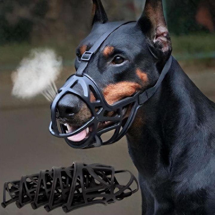 那些爱狗的人士，爱的仅仅是他们自己！ - 知乎