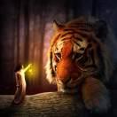 Hello world - 知乎