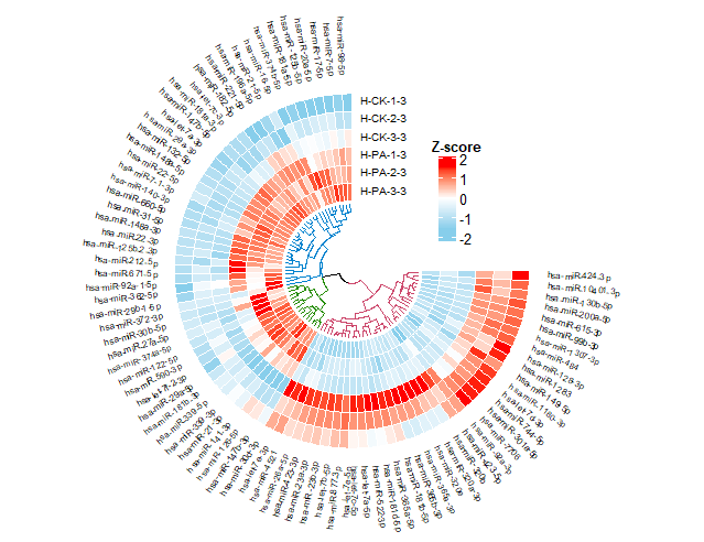 R package：circlize环状热图 - 知乎