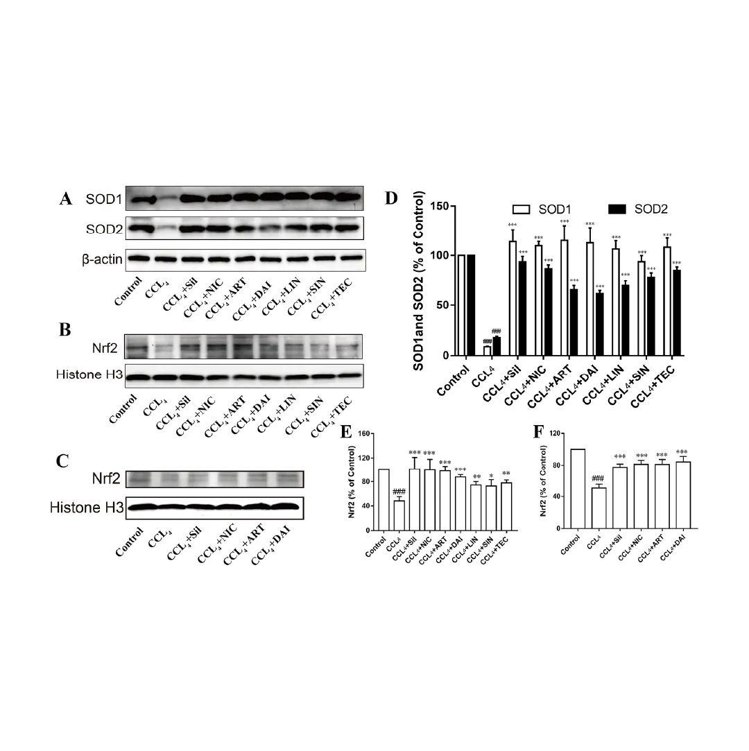 CADD/AIDD--药物研发的加速器...... | MedChemExpress (MCE) - 知乎