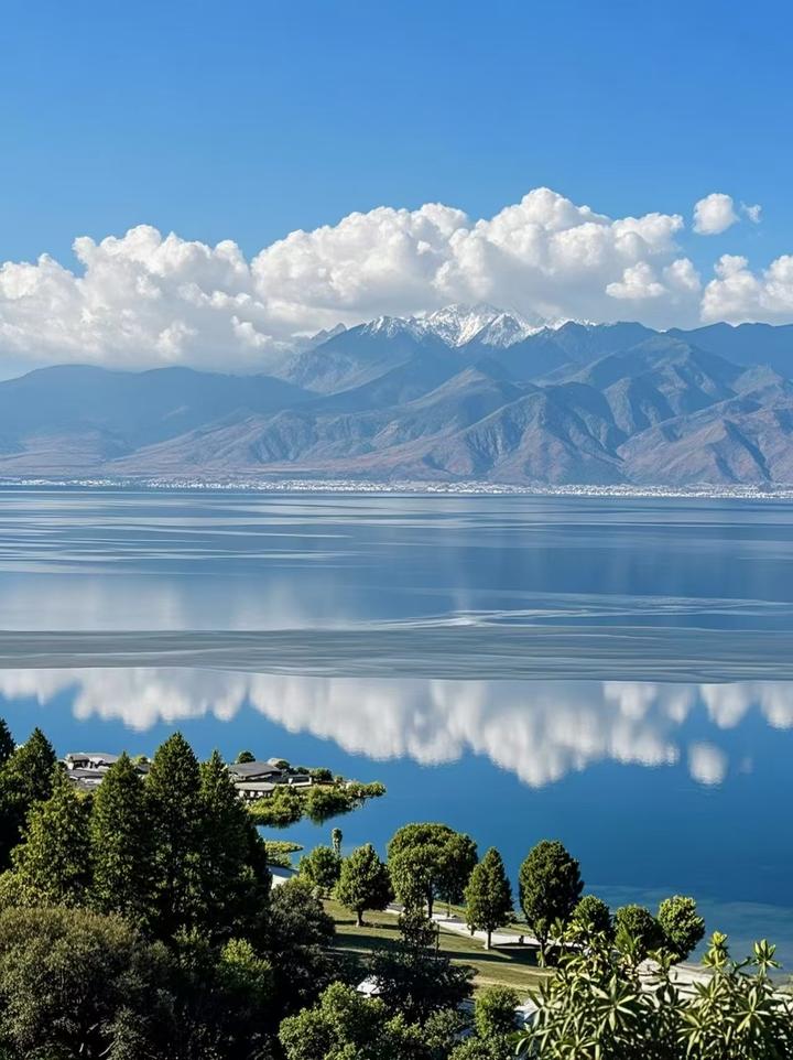 RFect Prime--完美平替 lipo3000 的国产试剂 - 知乎