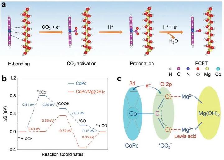 【DFT+实验】AFM：CoPc/Mg(OH)2/NC助力CO2还原 - 知乎