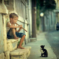 魅族16th转国际版妥协了,刷到flyme9(含更新包链接) - 知乎