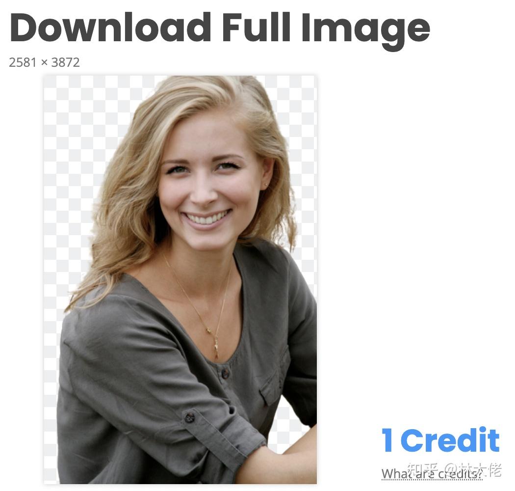 MODNet: 一个很强的抠图应用 - 知乎