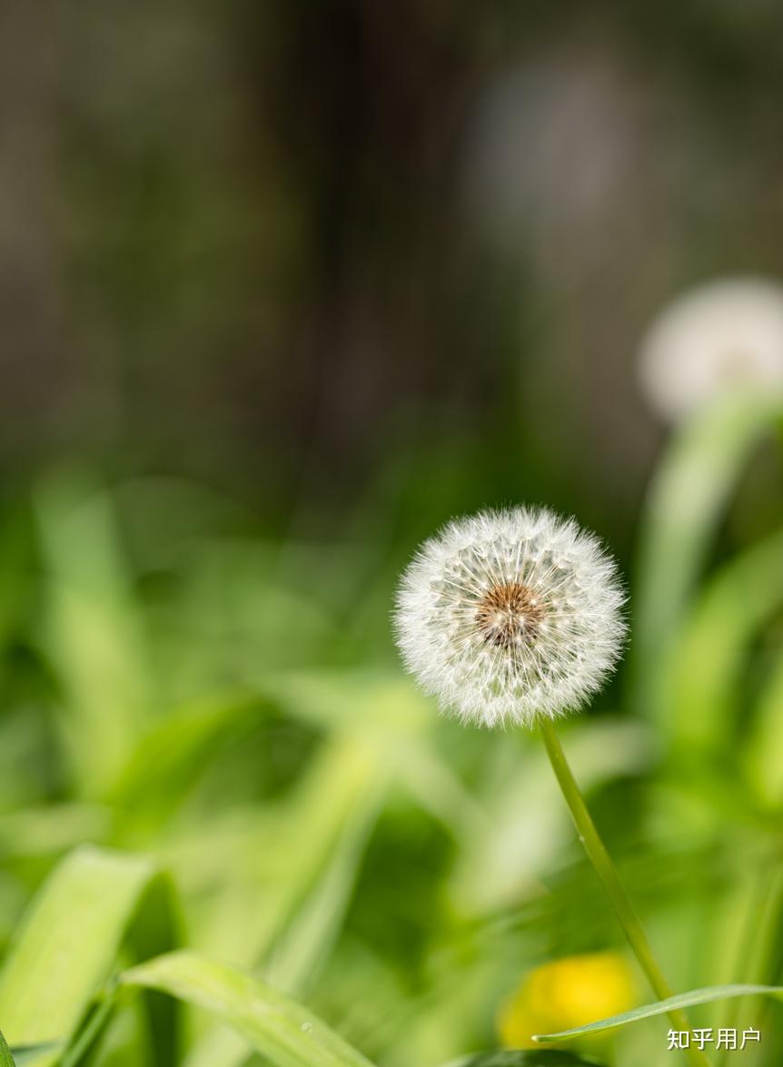 尼康z105 f2.8有必要买吗，已经有z24-120 f4s了，相机是z72? - 知乎