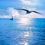 DOC - Using and understanding OpenMesh - 知乎