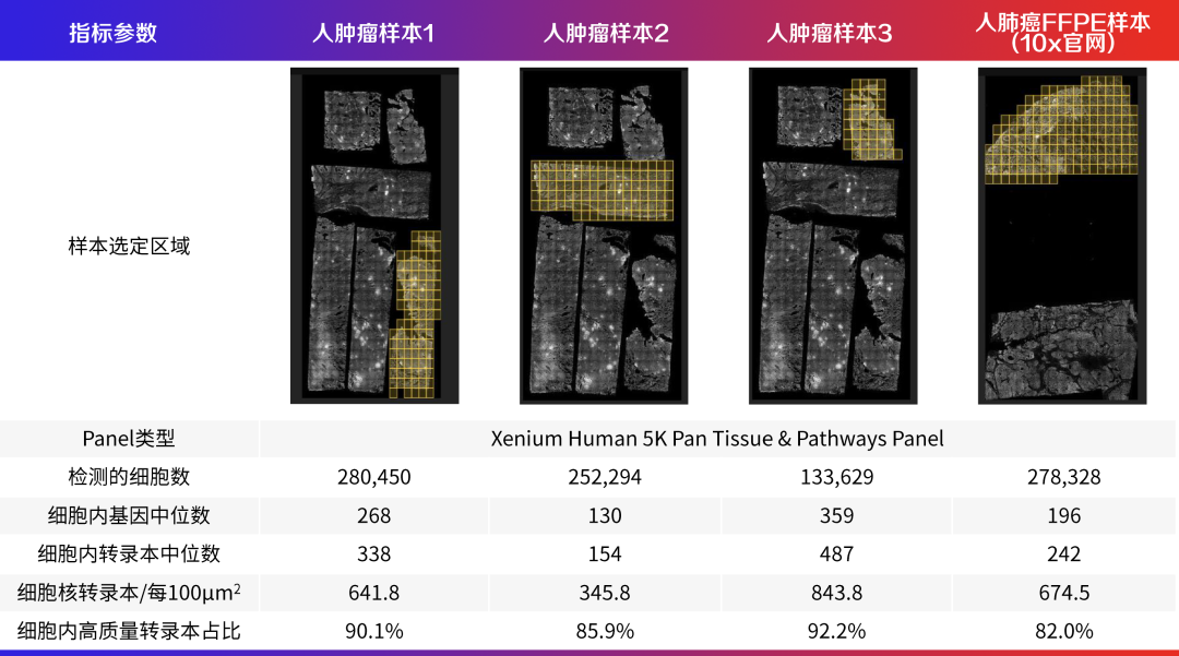 实测数据丨贝瑞基因Xenium 5K见证空间组学突破性表现 - 知乎