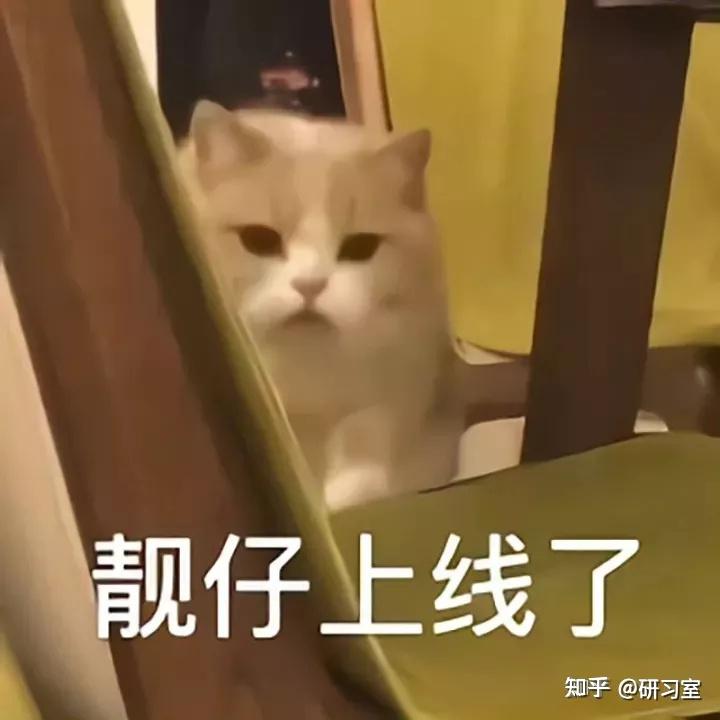 23fall | 曼大环发、商学院list更新~ - 知乎