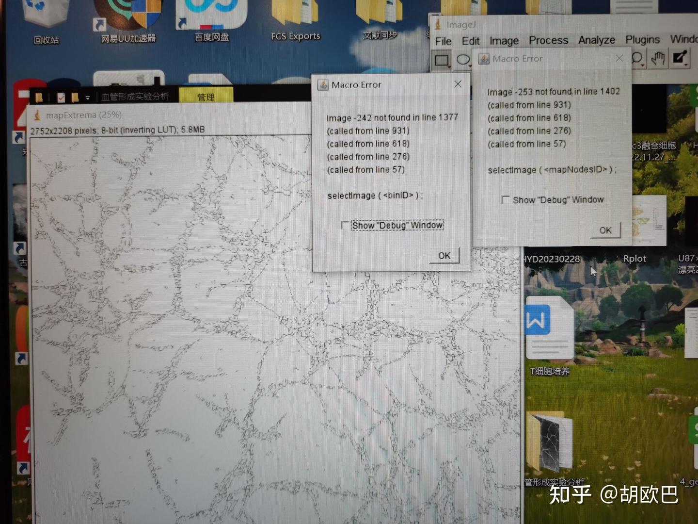 ImageJ在分析血管形成时出现Macro Error的原因揭秘 - 知乎