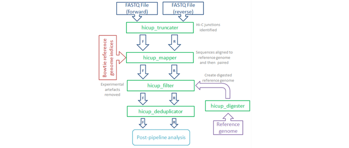 HiCUP对HiC数据进行预处理 - 知乎
