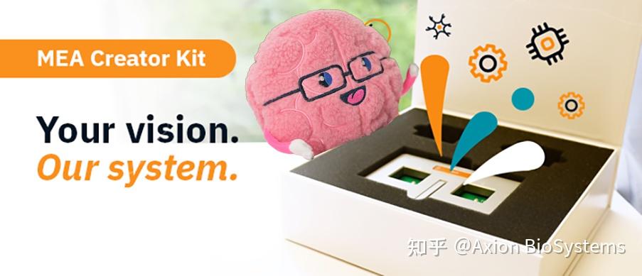 MEA Creator Kit - 自定义你的MEA数据采集方案 - 知乎