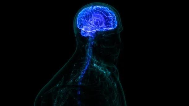 SCI核心期刊发表：NEUROMUSCULAR DISORDERS - 知乎