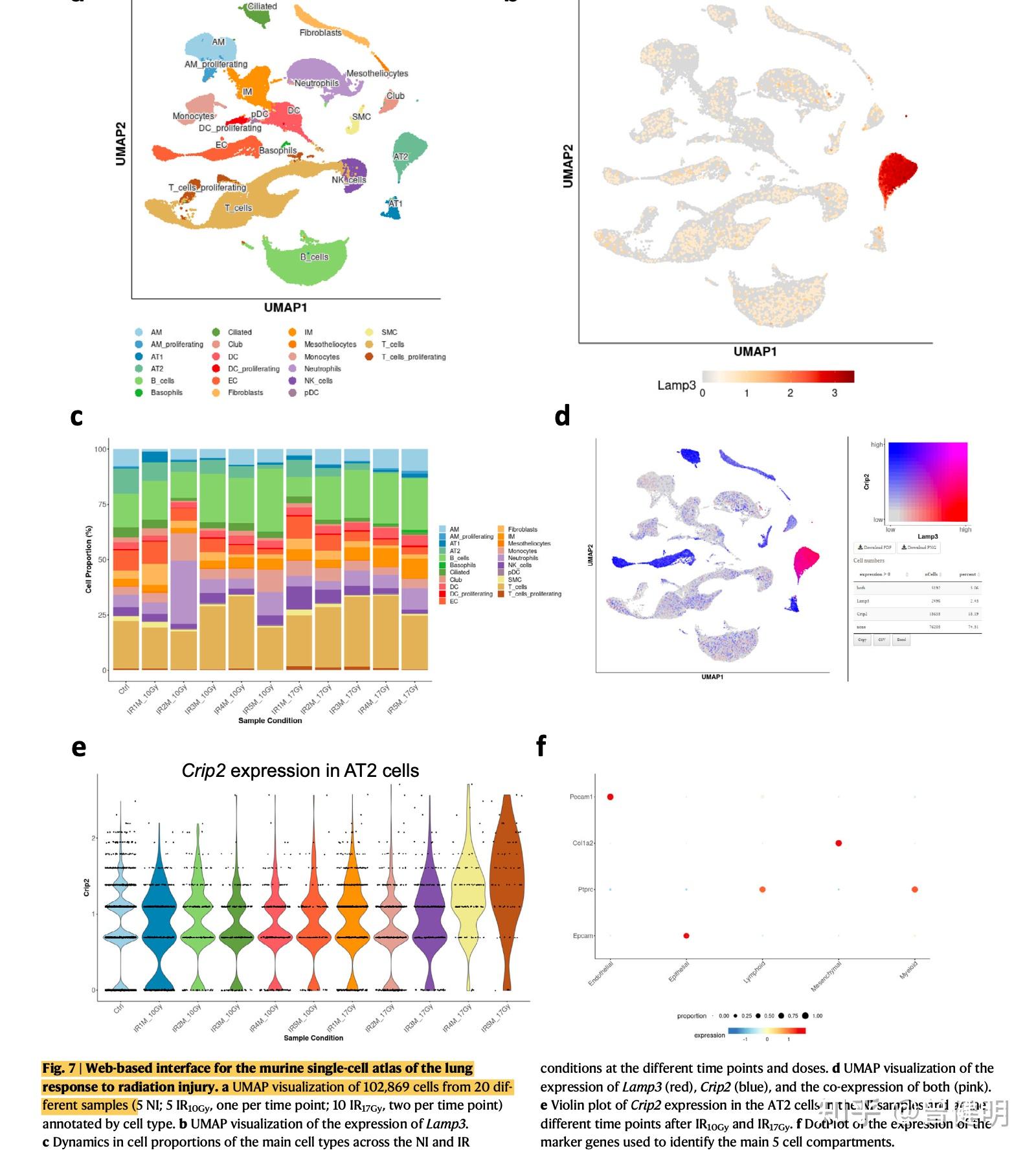 基于Seurat的单细胞对象使用ShinyCell自动化生成网页 - 知乎