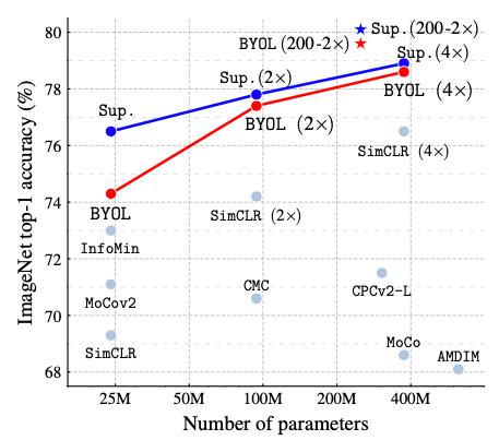 自监督对比学习（Contrastive Learning）综述+代码 - 知乎