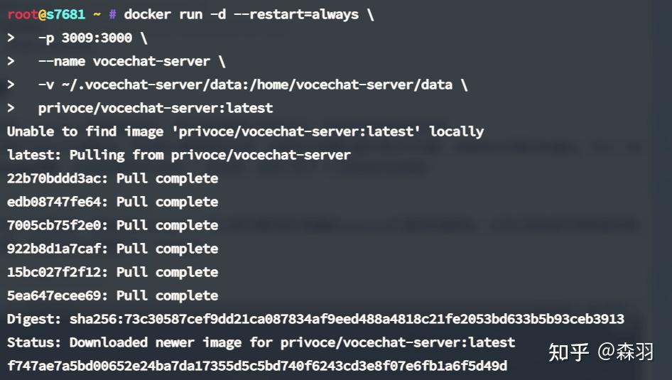 【教程】使用Docker及宝塔面板部署安装VoceChat - 知乎