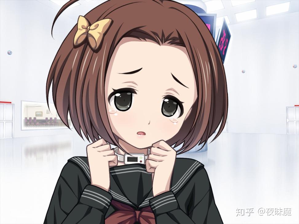 如何评价《乐园（Euphoria）》 这部美少女游戏（GAL）？ - 知乎