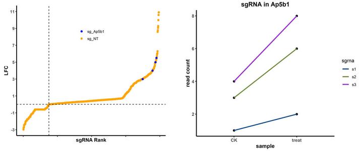 crispr screen候选基因sgRNA富集变化 - 知乎